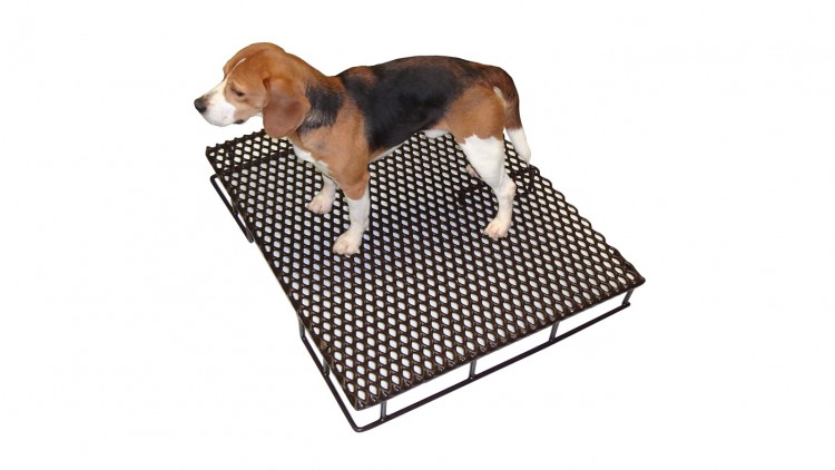 Original Cage RACS - RACS