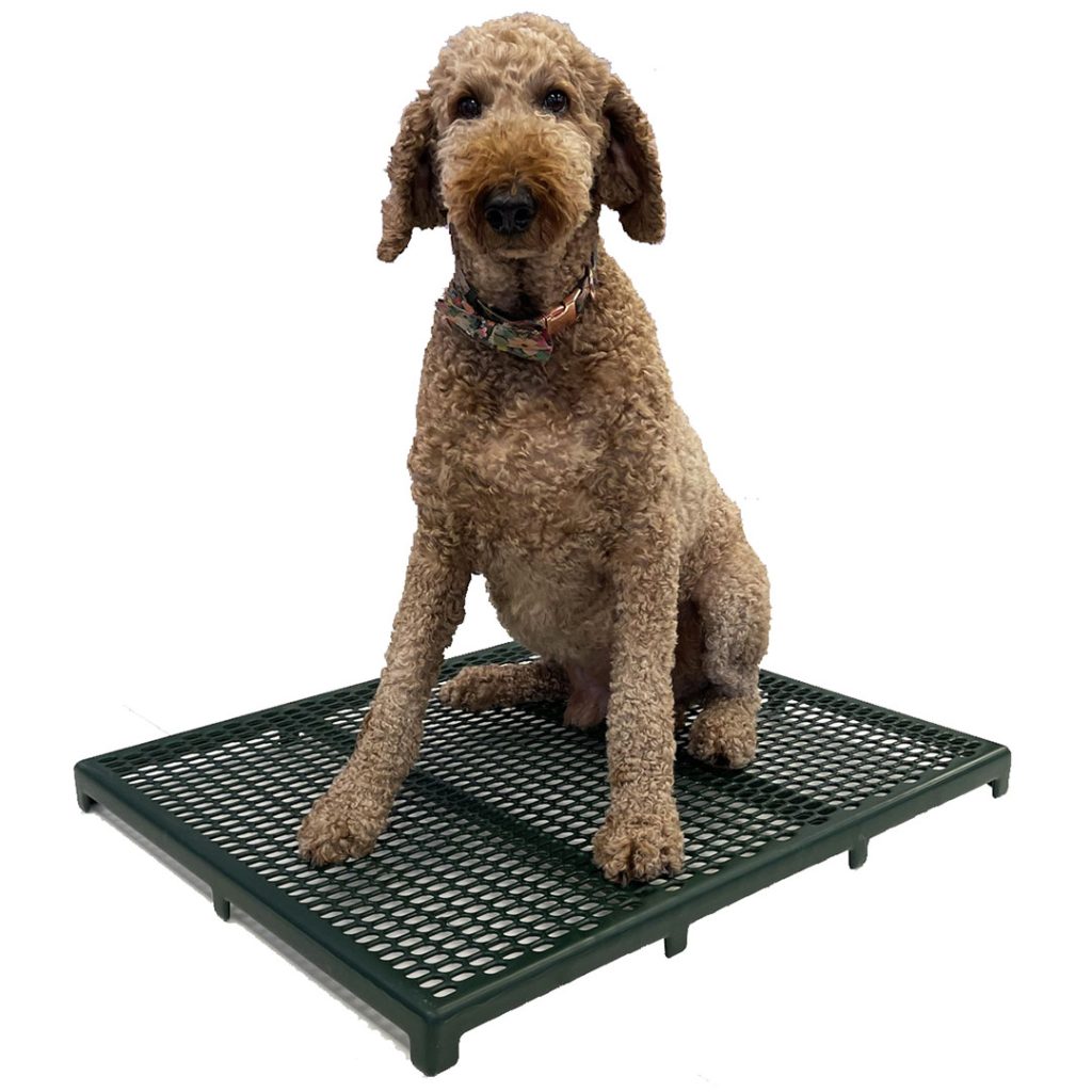 Comfort RACS Raised Cage Floor - Plastisol Coated for Veterinary Clinic Use