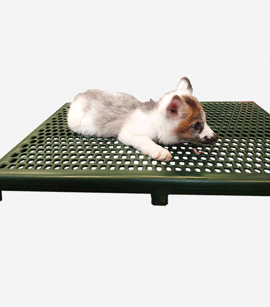 Raised Animal Floor Design and Manufacturing for Kennels and Cages