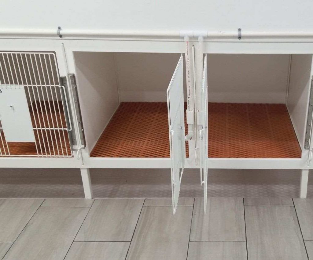 Raised Kennel Flooring Design for Animals | RACS