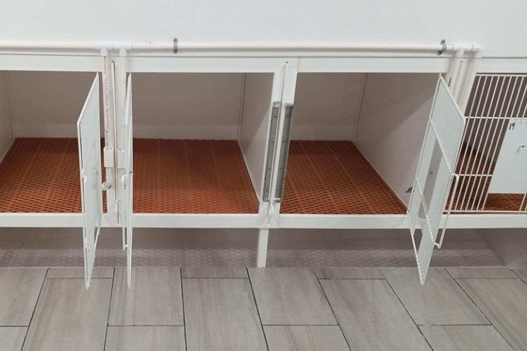 Durable Kennel Flooring Products - Shop Now | RACS